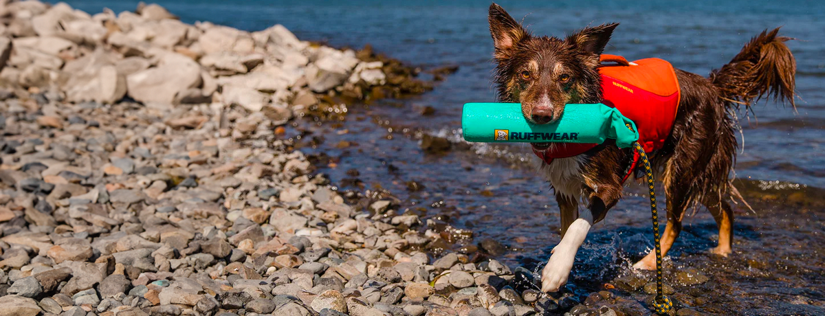 Wuffies | Dog Toys, Treats & Goodies